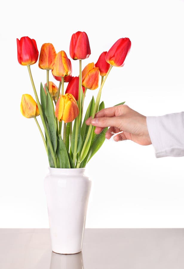 Hand catch tulips stock image. Image of flower, bunch - 28018905