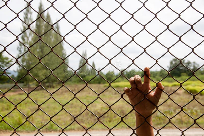 Hand Catch on Wire Rusty Mesh Stock Image - Image of hand, mesh: 58964197