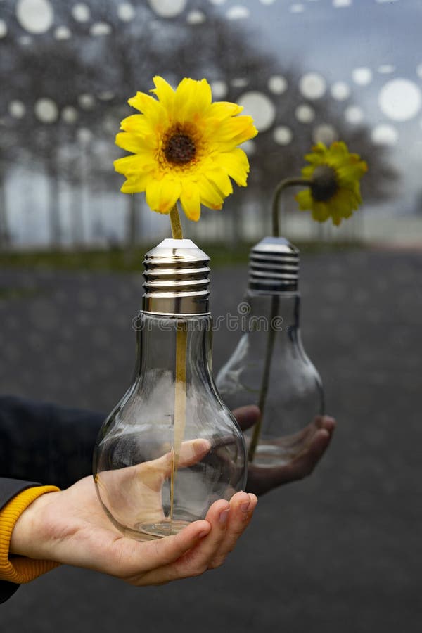 Hand Catching a Light Bulb with a Yellow Flower Stock Image - Image of ...