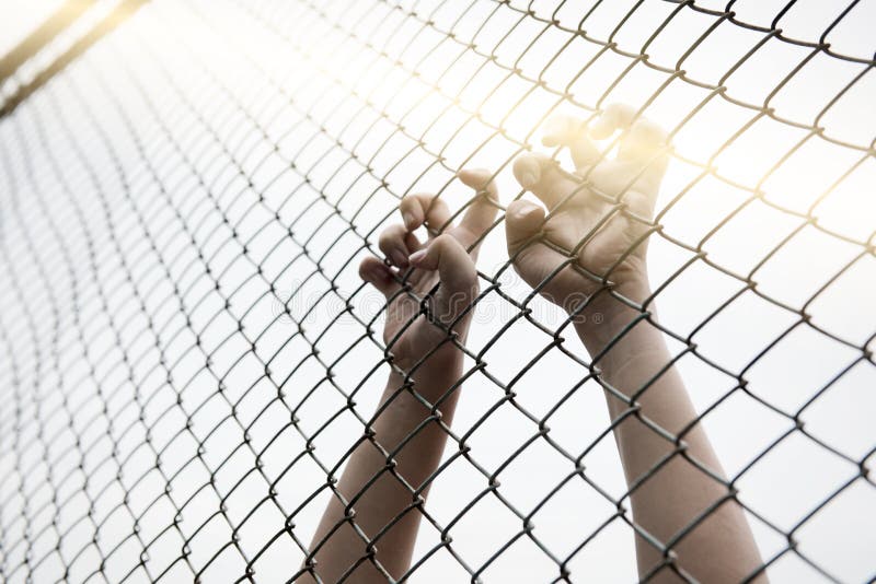 Hand Catching Mesh Cage. the Prisoner Want Freedom. Stock Image - Image ...