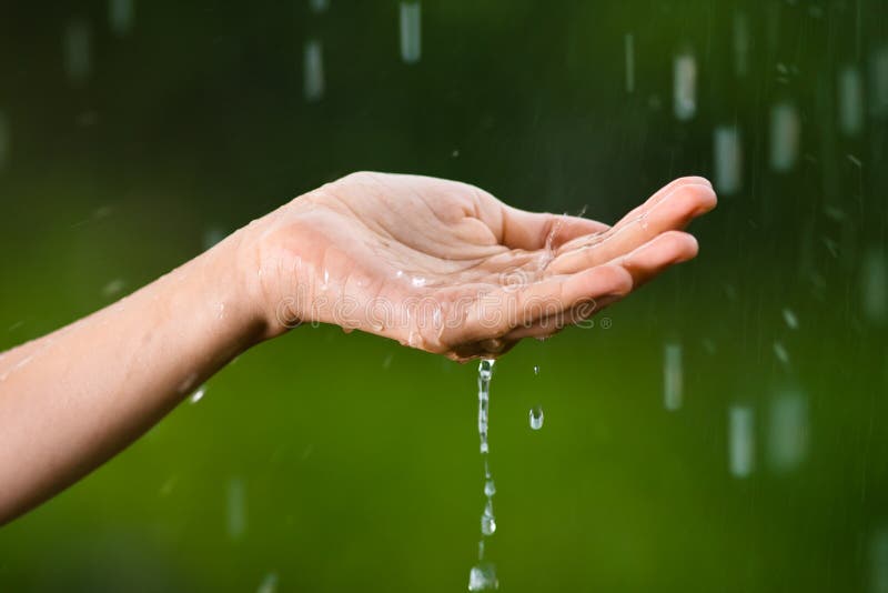 Hand and rain water stock image. Image of hands, green - 43859359