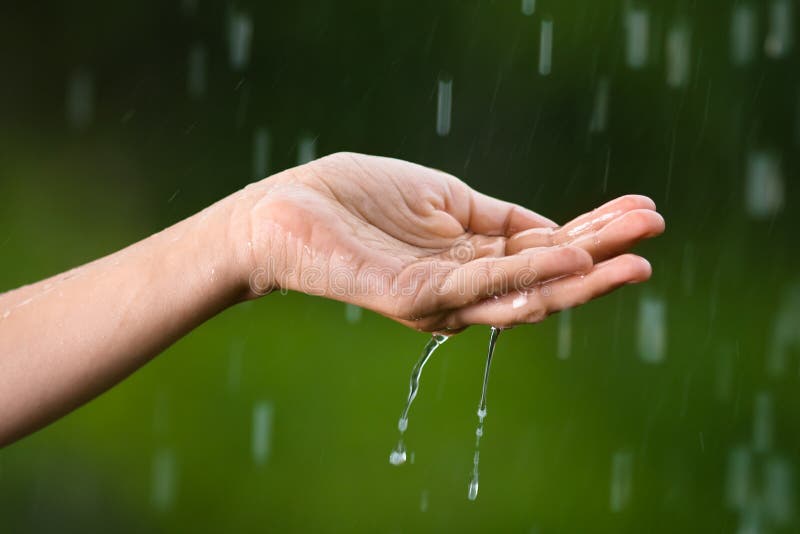147 Hand Catching Raindrops Stock Photos - Free & Royalty-Free Stock ...
