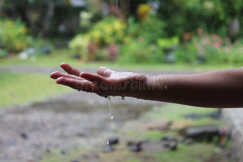 A Hand that are Catching Rainwater Stock Image - Image of leaf, autumn ...