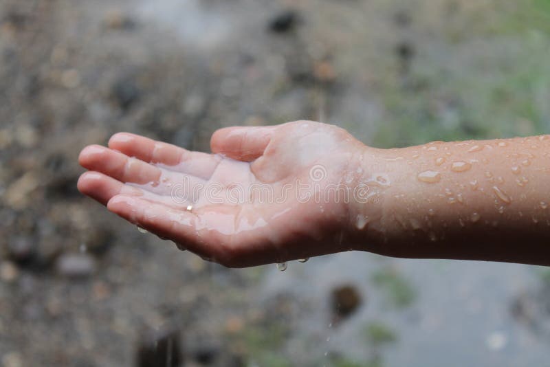 A Hand that are Catching Rainwater Stock Image - Image of person ...