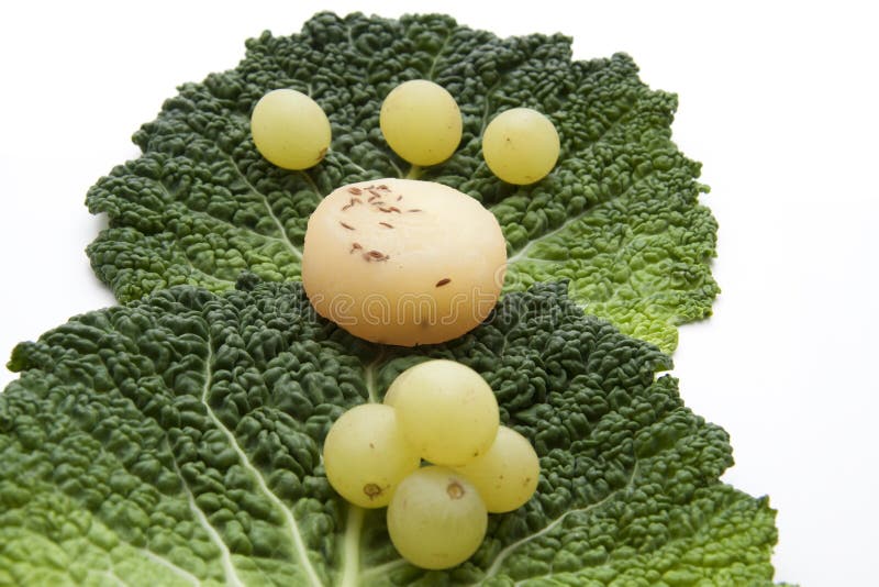 Hand cheese with grapes stock photo. Image of leafy, spice - 21566510