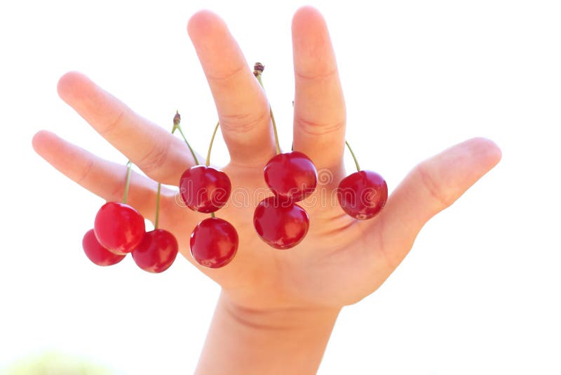 Hand and cherry stock photo. Image of summer, hand, natural - 9878630