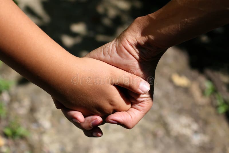 76,579 Adult Child Hand Stock Photos - Free & Royalty-Free Stock Photos ...