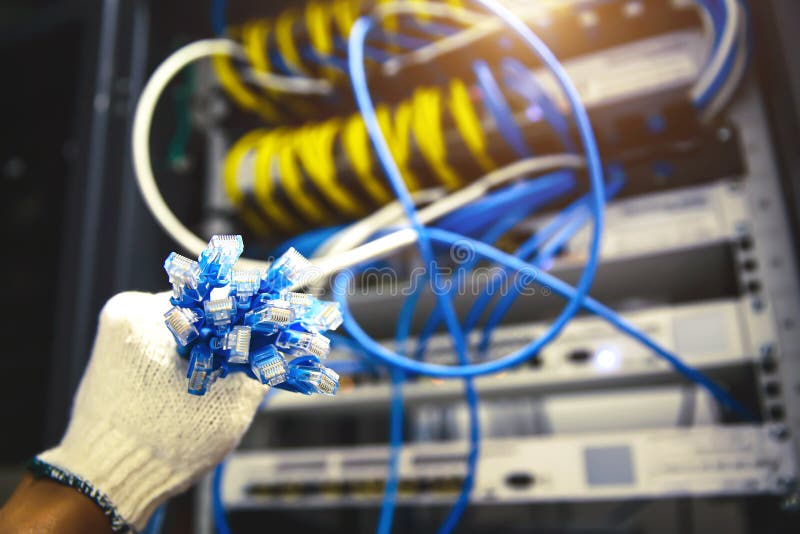 Hand Choose Lots of RJ45 UTP Cat6 LAN Internet Network Cable Fiber ...