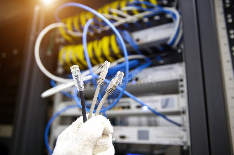 Hand Choose Lots of RJ45 UTP Cat6 LAN Internet Network Cable Fiber ...