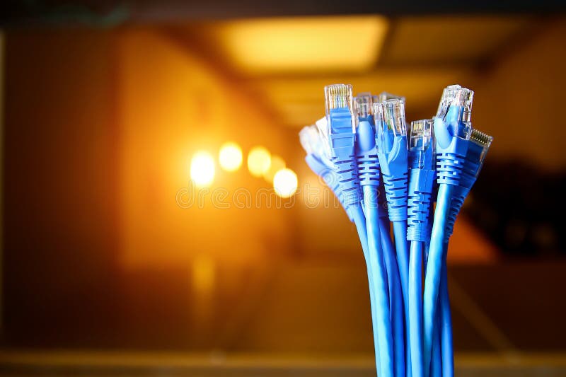 Hand Choose Lots of RJ45 UTP Cat6 LAN Internet Network Cable Fiber ...