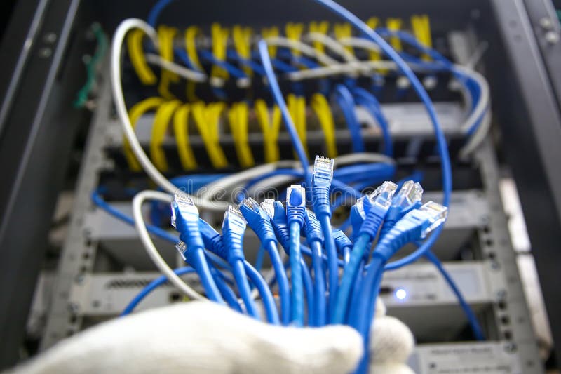 Hand Choose Lots of RJ45 UTP Cat6 LAN Internet Network Cable Fiber ...