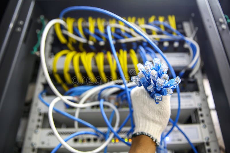 Hand Choose Lots of RJ45 UTP Cat6 LAN Internet Network Cable Fiber ...