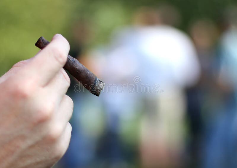 Hand with a cigar stock image. Image of office, hand - 21223385