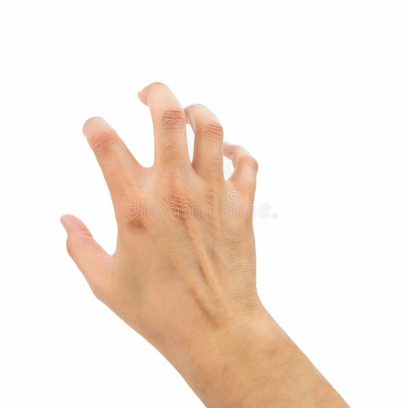 Hand clawing at tree trunk stock photo. Image of green - 9371508