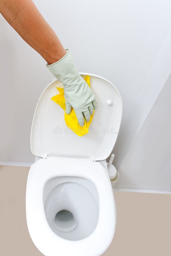 Cleaning the toilet stock photo. Image of clean, friendly - 23631476