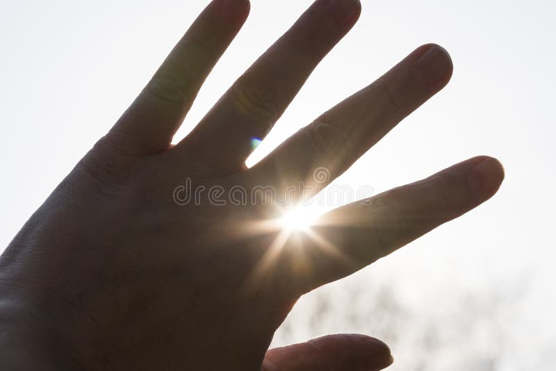 Hand Close-up, Palm Sun through Fingers, Rays Stock Photo - Image of ...