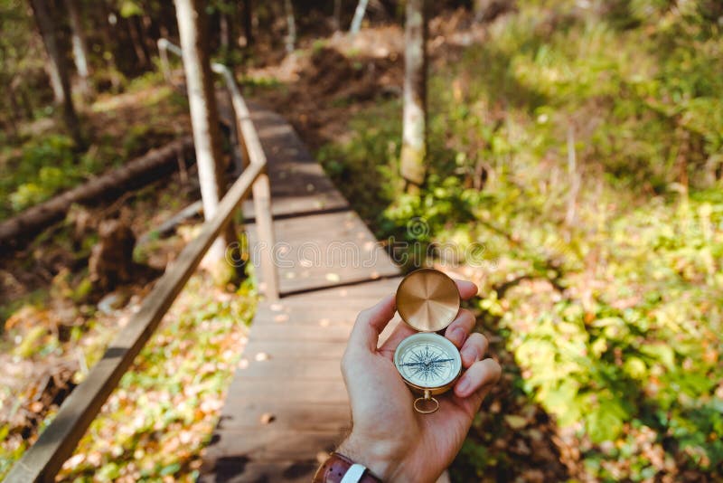 Hand with Compass in Forest Terrain. POV Travel Concept Stock Image ...