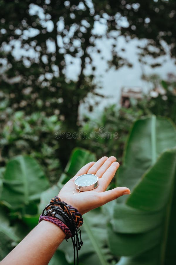 Hand with Compass in the Lush Rainforest Jungle Stock Image - Image of ...