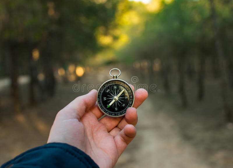 Compass in the Mountains and the Forest Stock Image - Image of forest ...