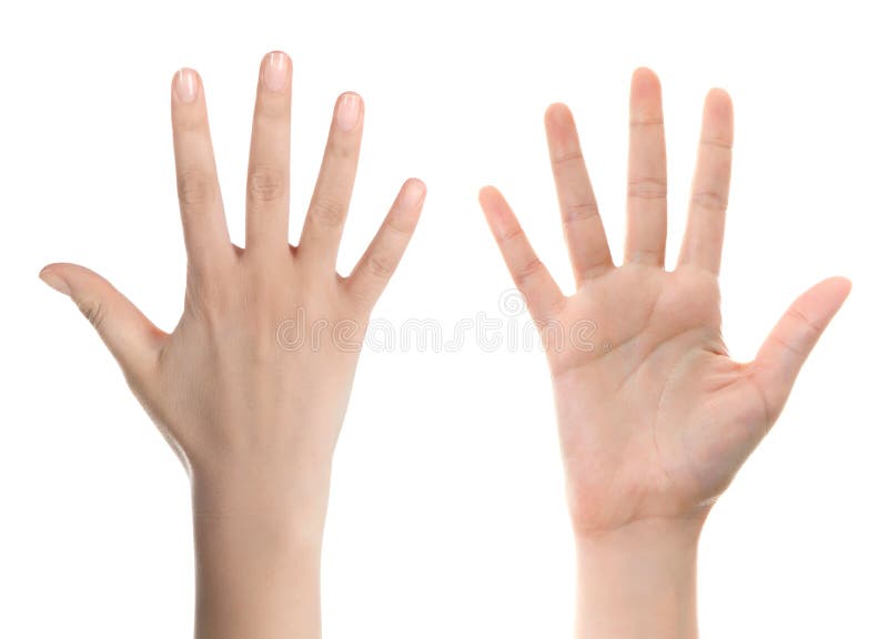 Hand counting: five stock image. Image of male, assistance - 33226359