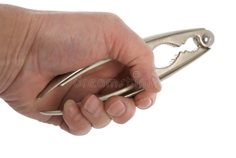 Hand and crackers stock image. Image of background, nutshell - 7408511