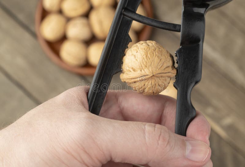 Hand cracking a walnut stock photo. Image of healthy, nutshell - 8540370