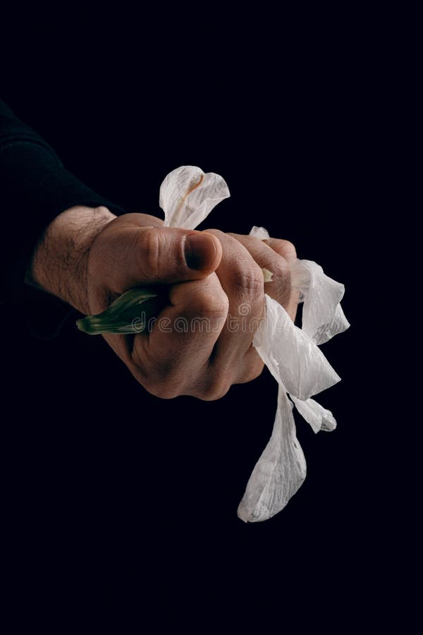 Hand Crumpling White Fragile Flower, Metaphor of Violence Abuse ...