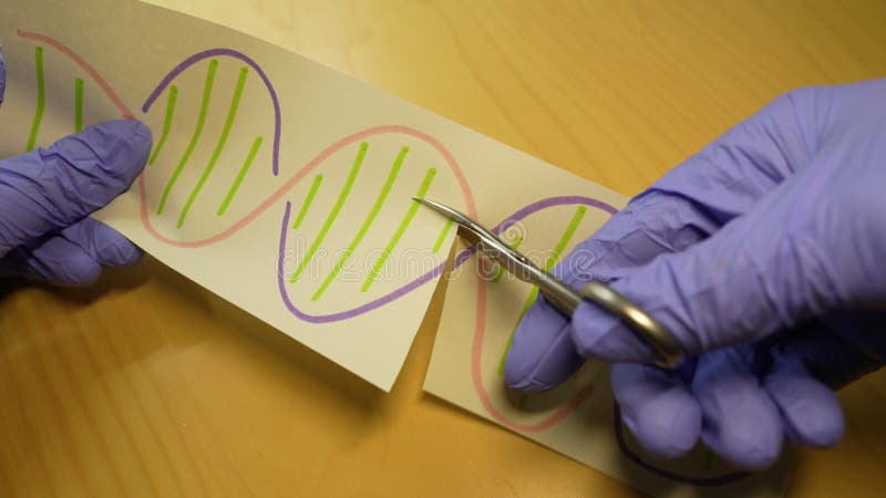 Hand Cutting a Part of a DNA Molecule. Genetic Engineering and Gene ...