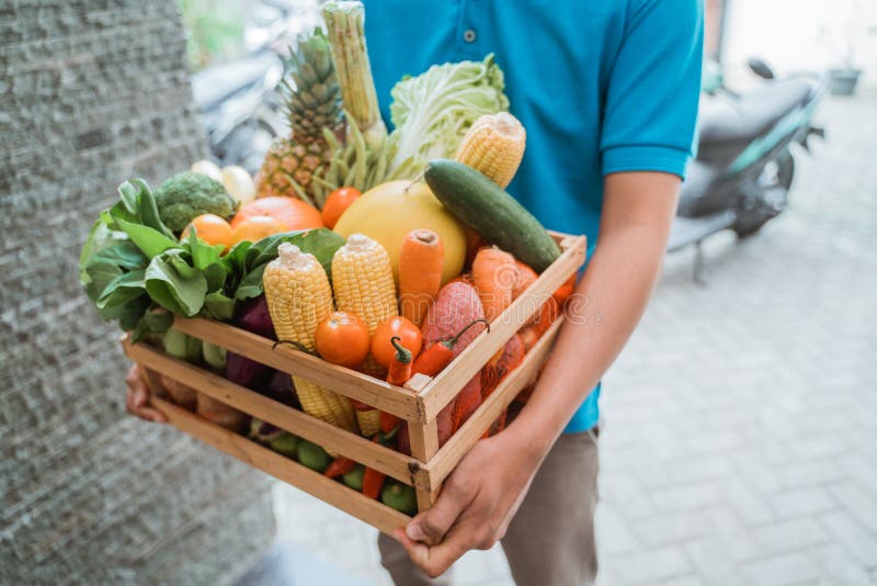 Hand Delivering Groceries Shopping Stock Photo - Image of shopping ...