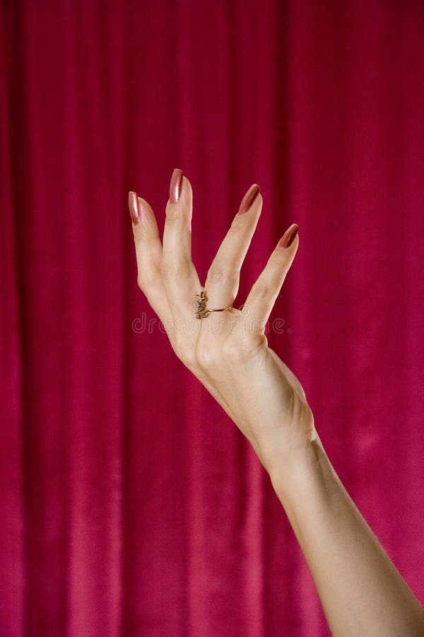 Hand der Frau stockbild. Bild von menschlich, hand, frau - 7719139