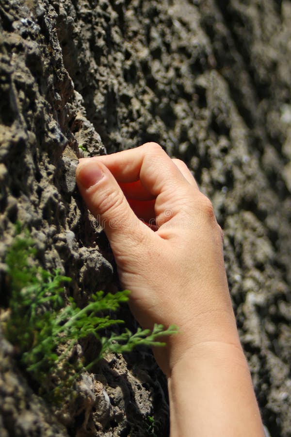 Hand Des Bergsteigers, Die Ein Loch Im Felsen Greift Stockfoto - Bild ...