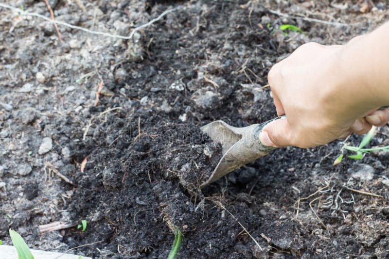 Hand digging the soil stock image. Image of land, ground - 52195297