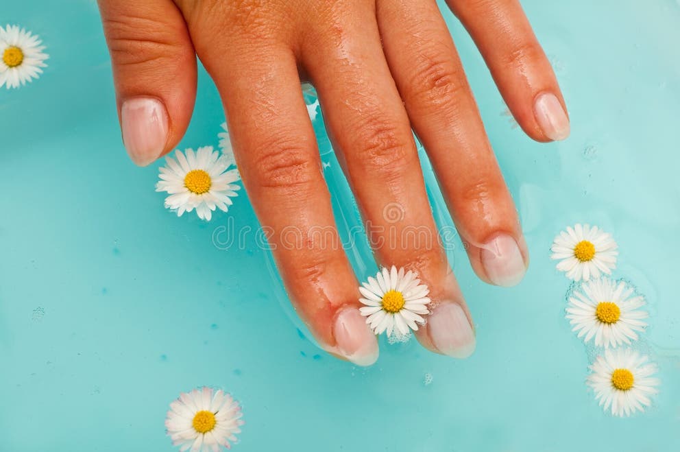 Hand Dipped in Blue Water with Chamomiles Stock Image - Image of head ...