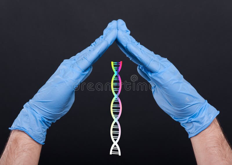Hand of Doctor Holding Dna Molecule Concept Stock Image - Image of ...