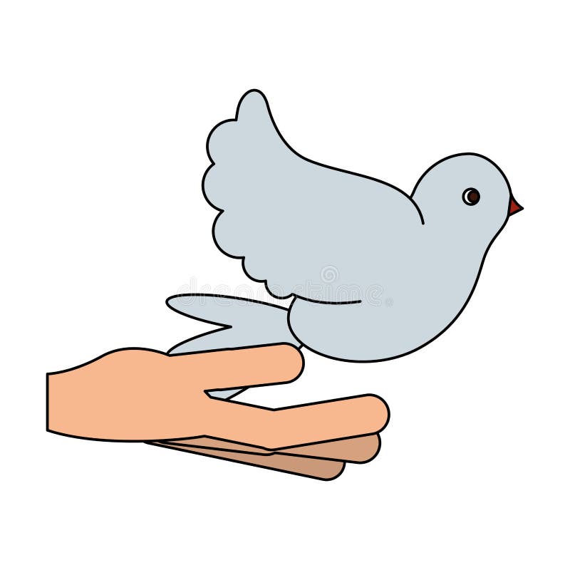 Hand with dove stock vector. Illustration of bird, isolated - 138067972