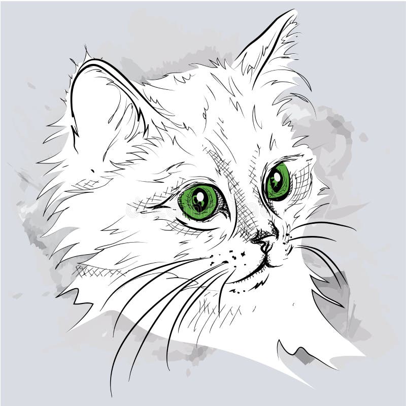 Hand Draw Cat Portrait. Vector Illustration Stock Vector - Illustration ...