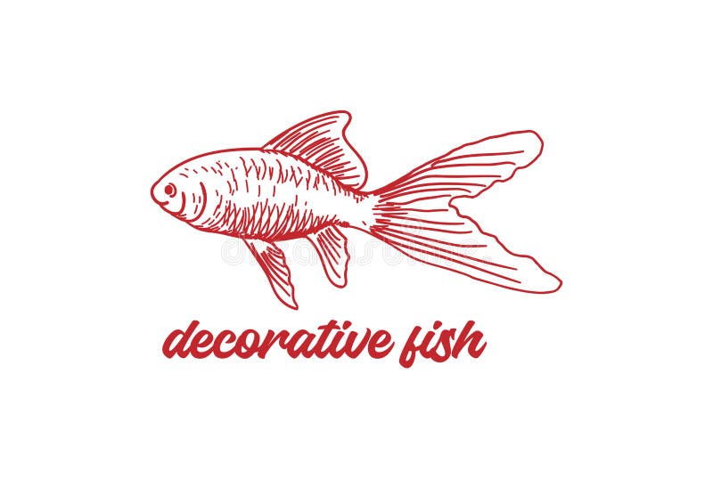 Hand Draw Comet Fish for Decorative Fish Store Logo Design Stock ...