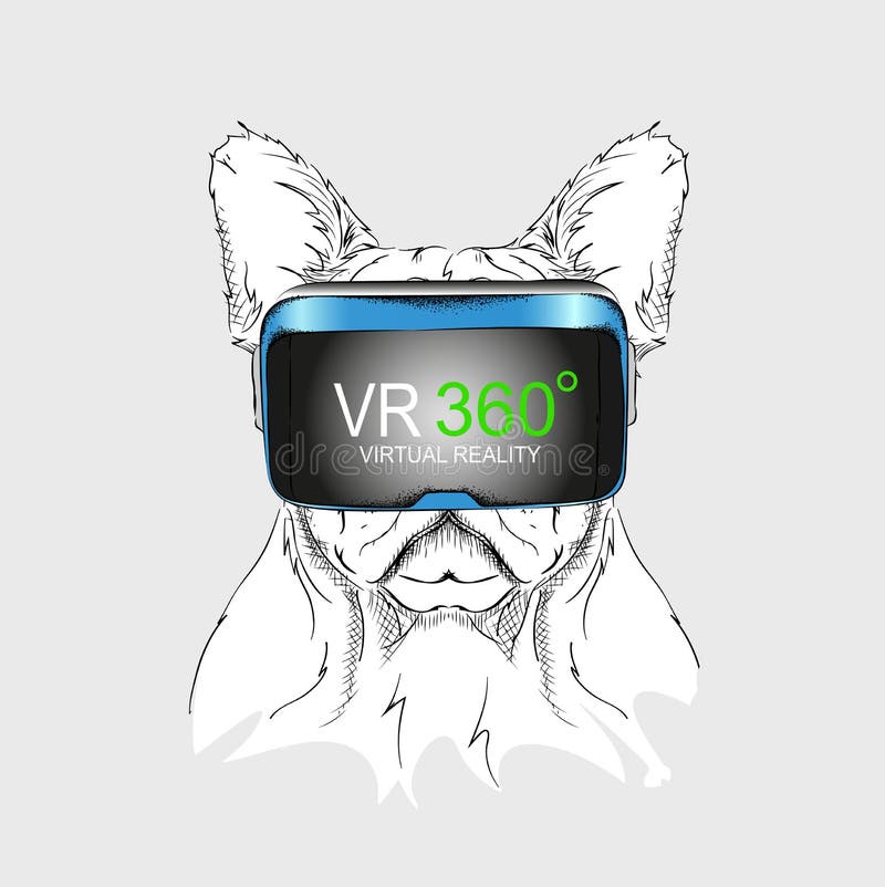 Hand Draw Camel Portrait. Hand Draw Vector Illustration Stock Vector ...