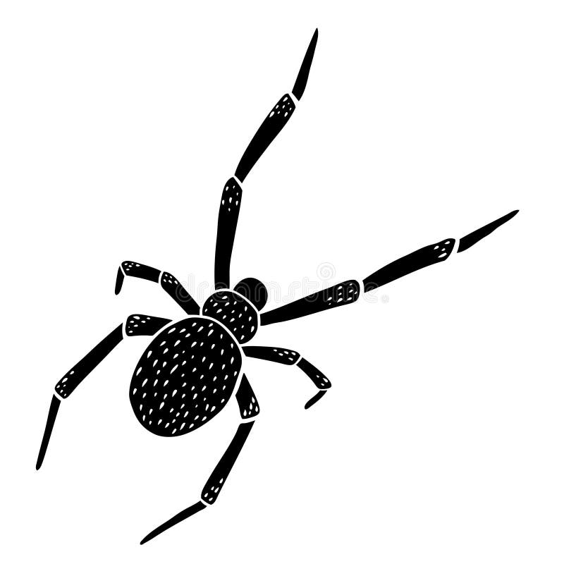 Hand Draw Doodle Black Spider. Vector Illustration Stock Vector ...