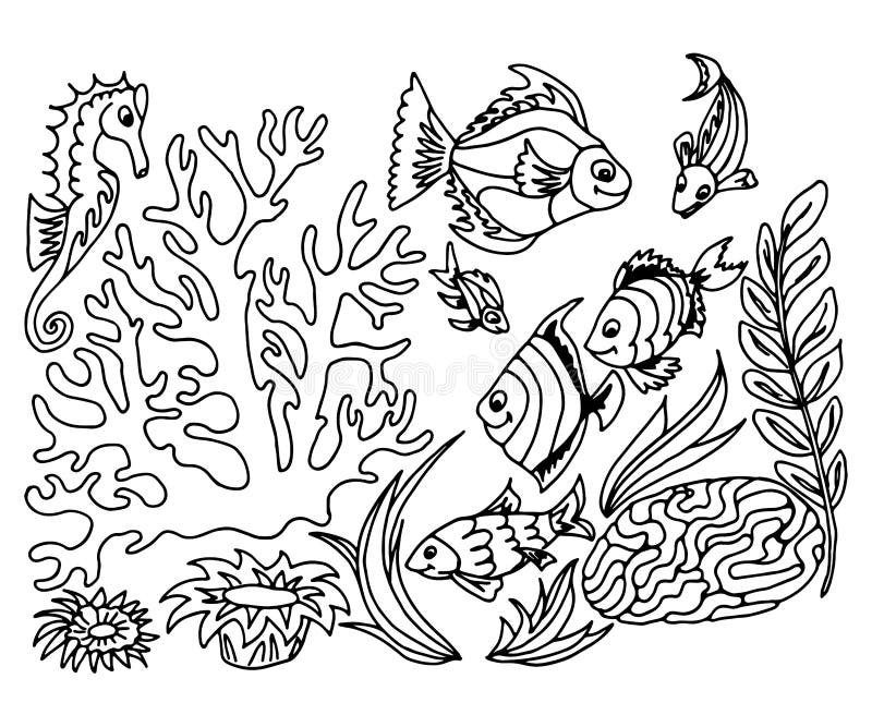 Hand Draw Set of Different Marina Creatures Stock Vector - Illustration ...