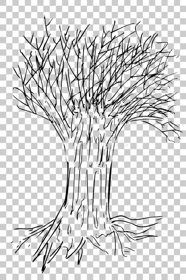 Hand Draw Sketch, Big Death Tree Stock Vector - Illustration of organic ...