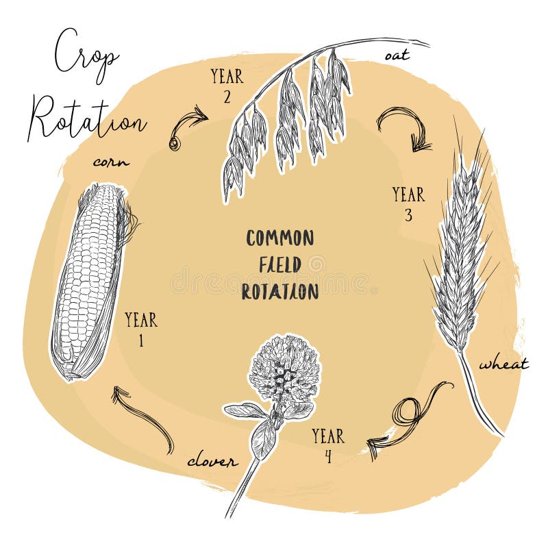 Crop Rotation Stock Illustrations – 419 Crop Rotation Stock ...