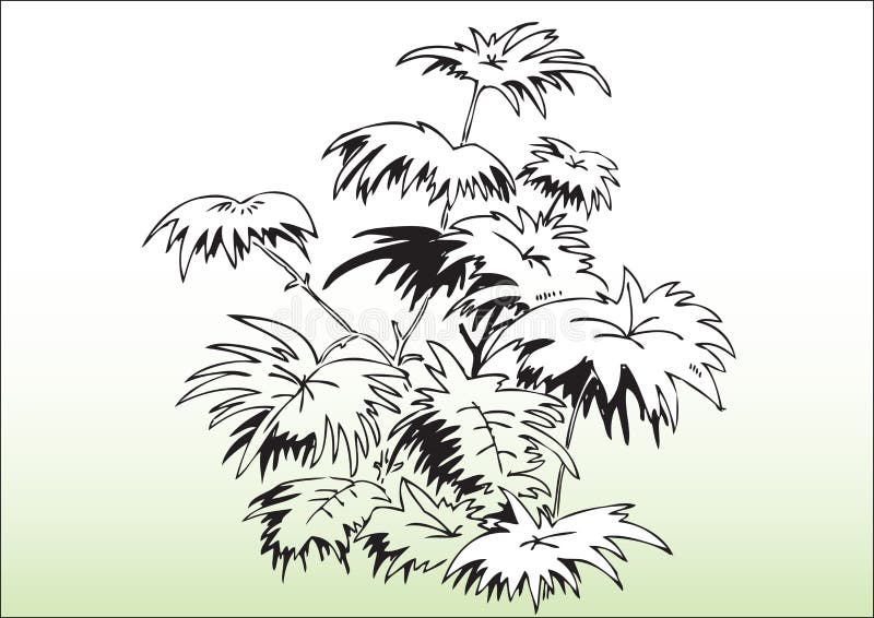 Hand draw trees stock vector. Illustration of drawing - 8645256