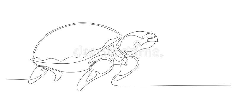 Continuous Line Drawing Turtle Stock Illustrations – 97 Continuous Line ...