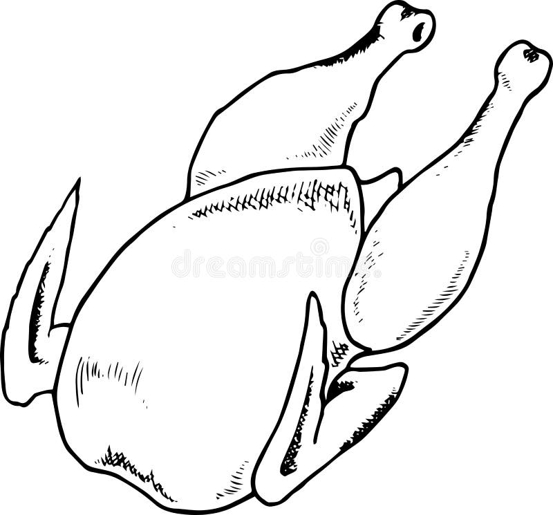 Chicken carcas doodle stock vector. Illustration of nature - 209259752