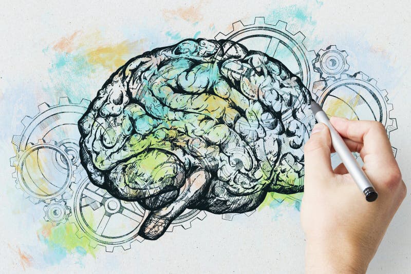 Art Drawing Brain Creativity Stock Image - Image of education, notebook ...