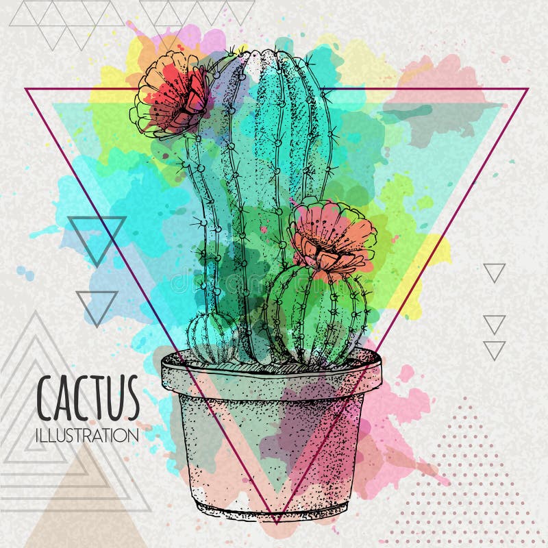 Hand Drawing Cactus Vector Illustration on Artistic Watercolor Triangle ...