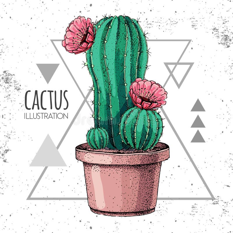 Hand Drawing Cactus Vector Illustration on Grunge Triangle Background ...