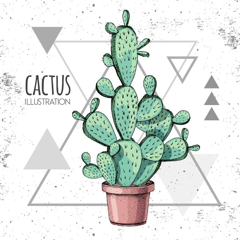 Hand Drawing Cactus Vector Illustration on Grunge Triangle Background ...