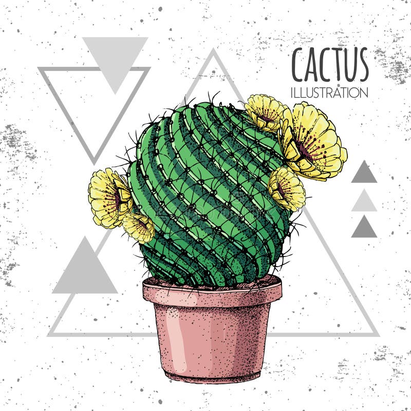 Hand Drawing Cactus Vector Illustration on Grunge Triangle Background ...
